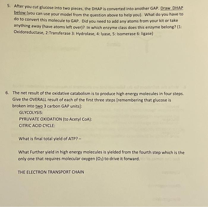 Solved 5. After you cut glucose into two pieces, the DHAP is | Chegg.com