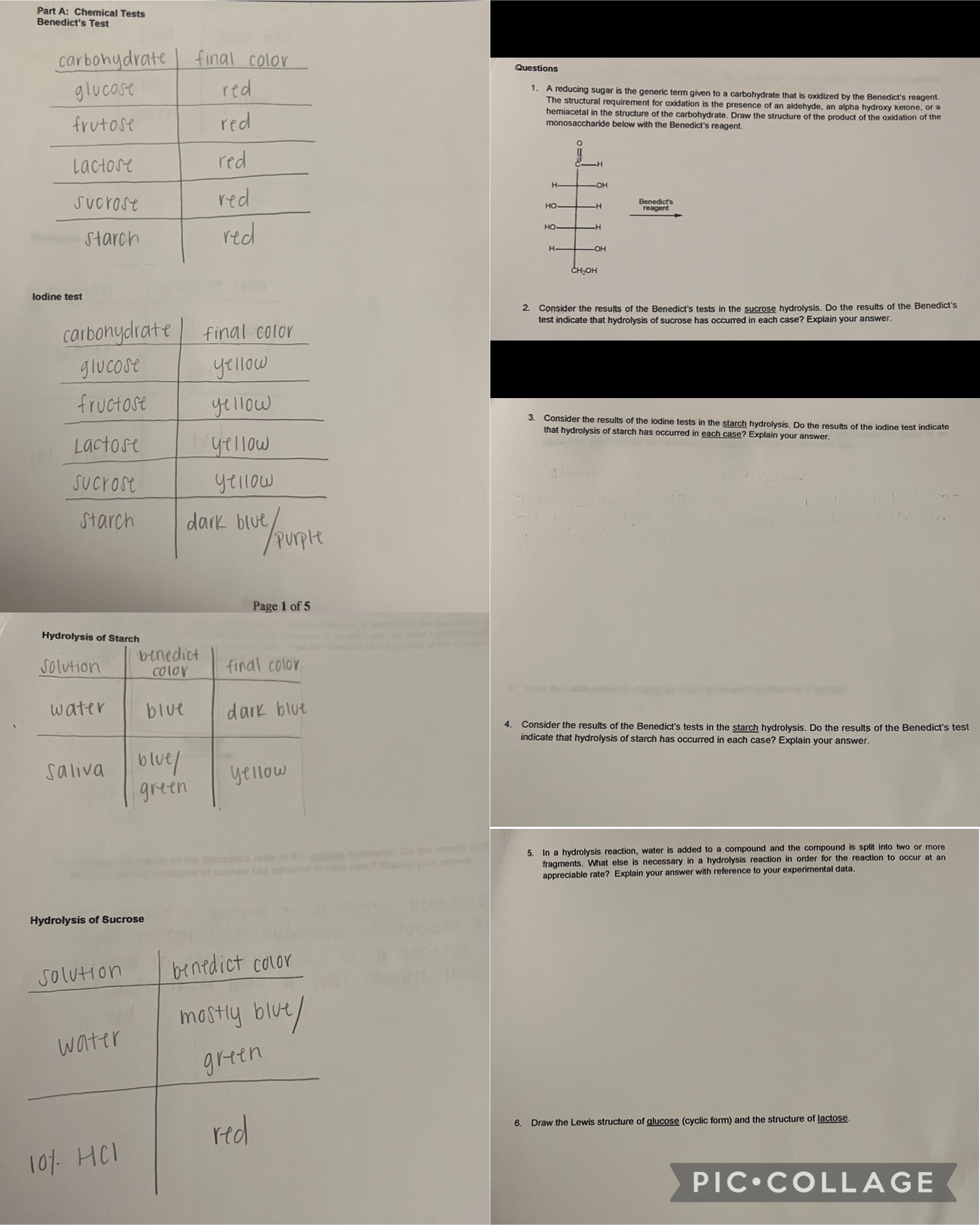 Solved Please help answer questions 1-6 ﻿from the charts | Chegg.com