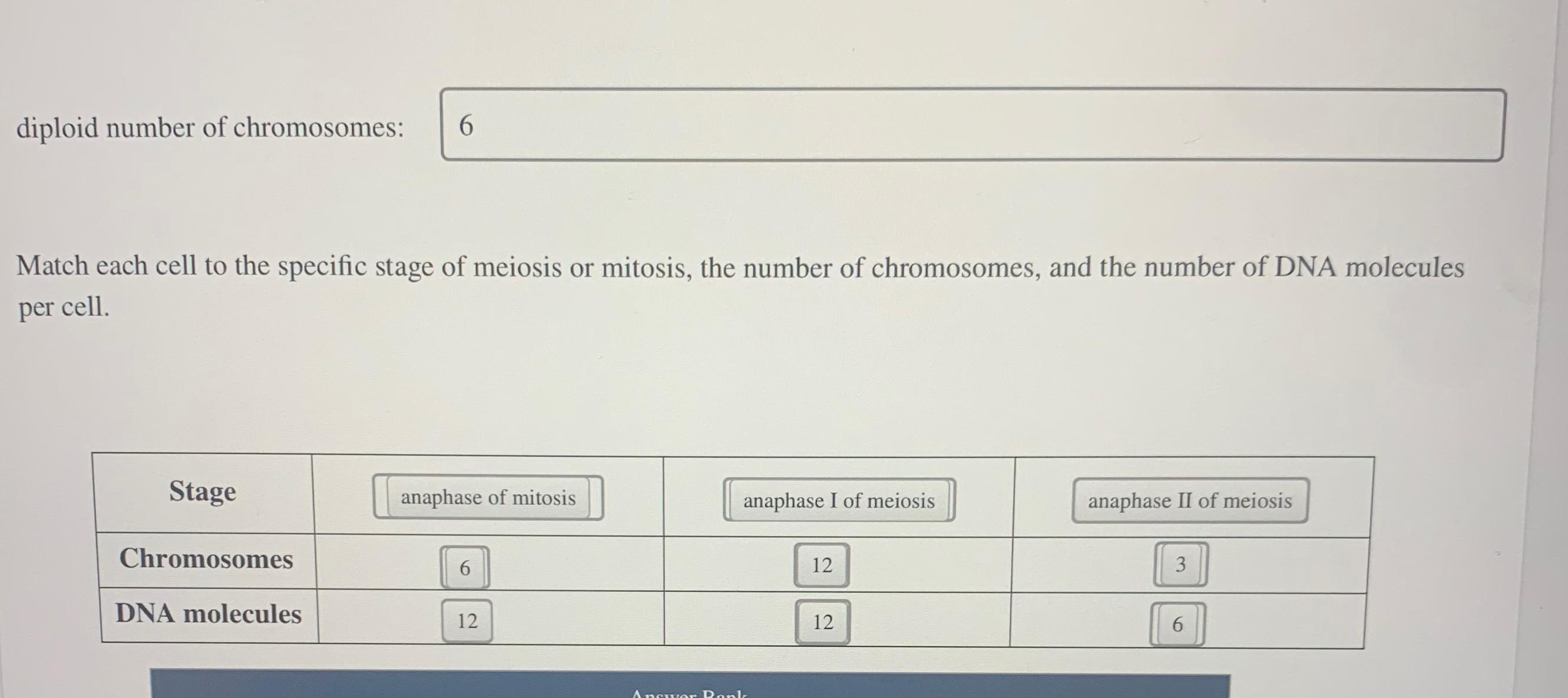 Solved diploid number of chromosomes:Match each cell to the | Chegg.com