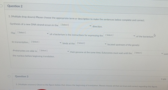 Solved Question 22. (Multiple drop downs) ﻿Please choose the | Chegg.com
