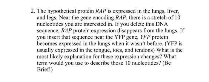 Solved 2. The hypothetical protein RAP is expressed in the | Chegg.com