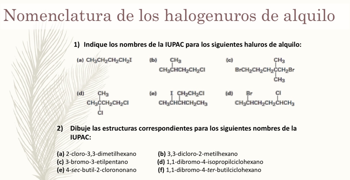 Solved Nomenclatura de los halogenuros de alquiloIndique los | Chegg.com