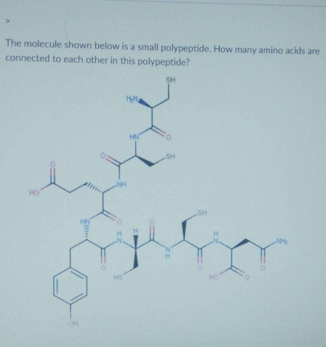 Solved > The molecule shown below is a small polypeptide. | Chegg.com