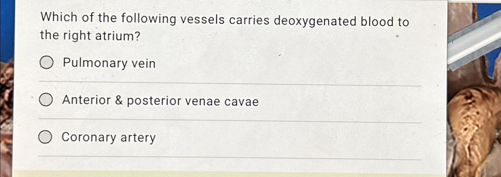 Solved Which of the following vessels carries deoxygenated | Chegg.com