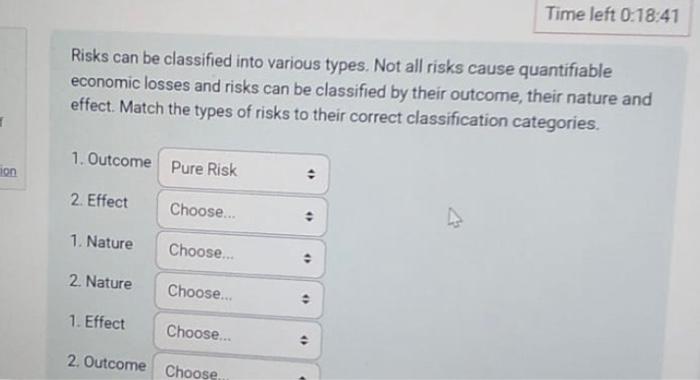Solved Risks can be classified into various types. Not all | Chegg.com