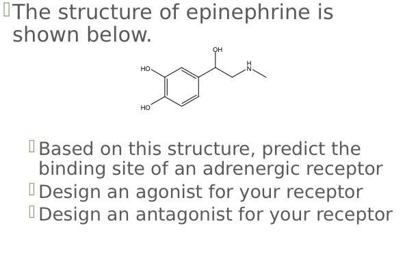 The structure of epinephrine is shown below. Based | Chegg.com
