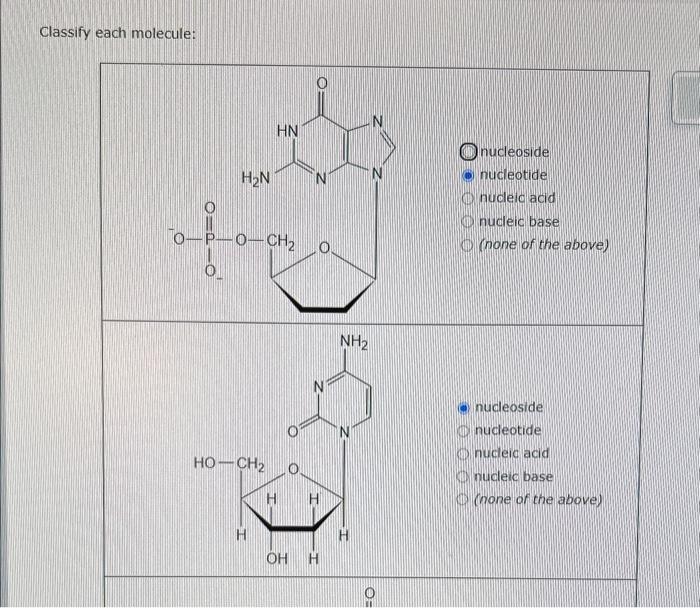 Solved Classify each molecule: nucleoside nucleotide nucleic | Chegg.com