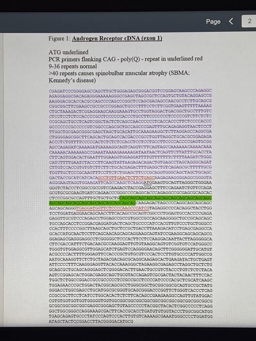 Solved Investigation of the AR (poly(Q)) repeat polymorphism | Chegg.com