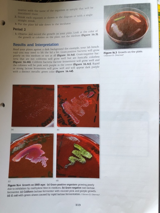 Solved TOT Zoo Add Page Insert Table Chart Text Shape Media | Chegg.com
