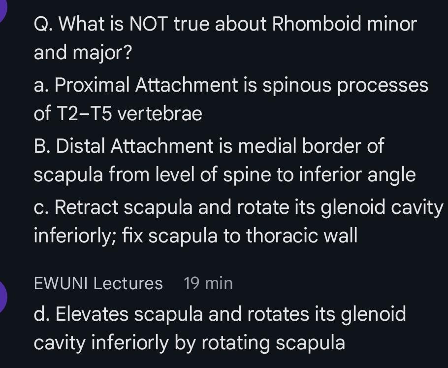 Solved Q. ﻿What is NOT true about Rhomboid minor and | Chegg.com