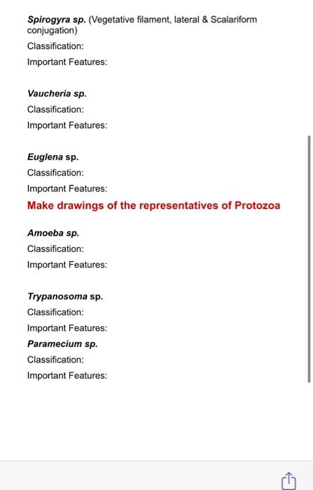 Solved Spirogyra sp. (Vegetative filament, lateral & | Chegg.com