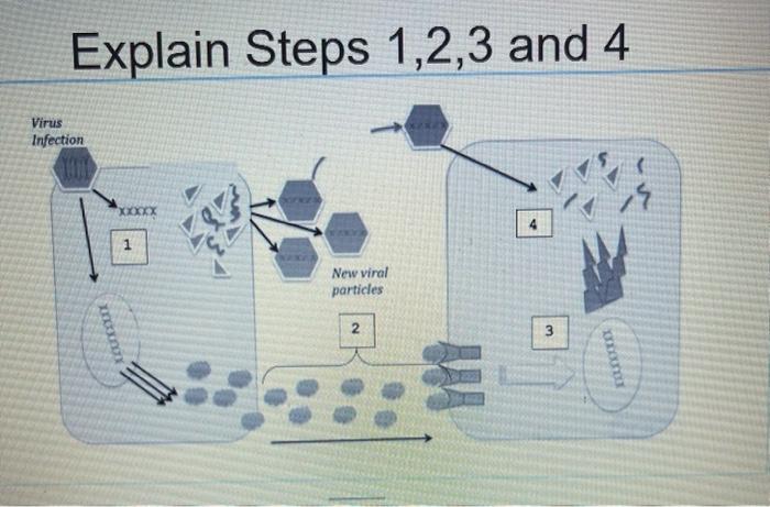 Solved Explain Steps 1,2,3 and 4 | Chegg.com