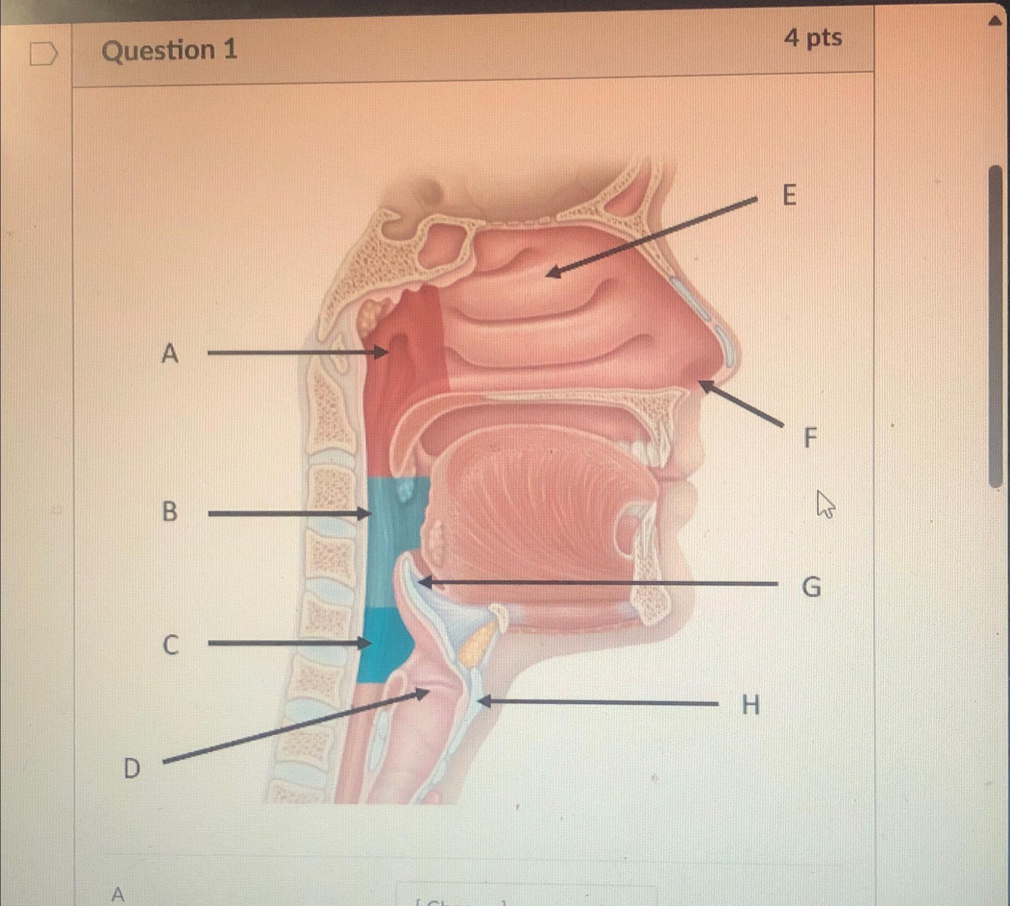 Solved Question 14 pts | Chegg.com Solved Question 14 pts | Chegg.com