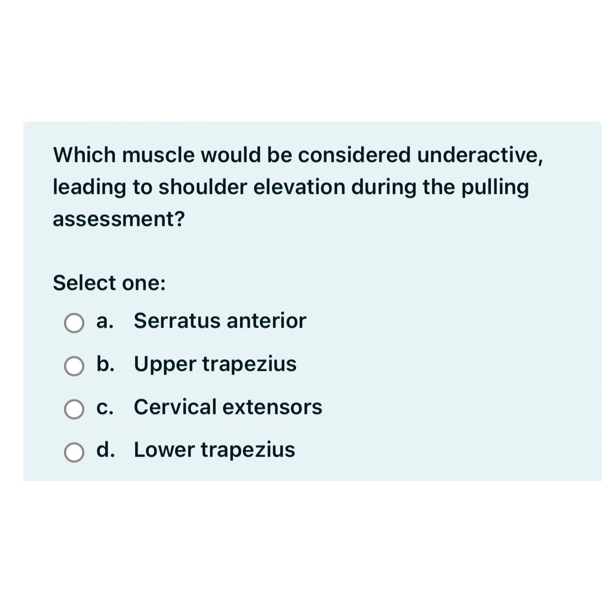 Solved Which muscle would be considered underactive, leading | Chegg.com