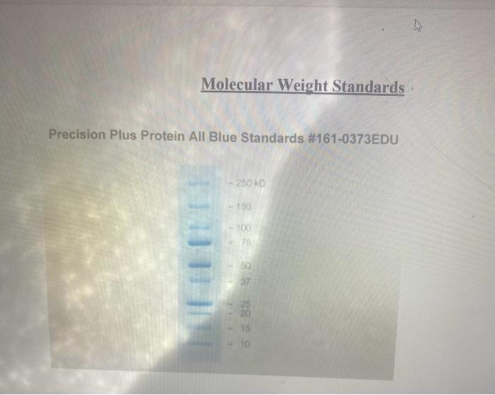 Precision Plus Protein All Blue Standards | Chegg.com