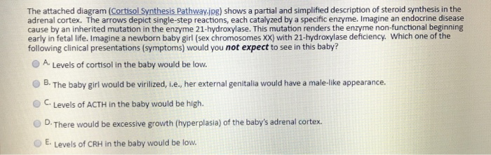 Solved The attached diagram (Cortisol Synthesis Pathway.jpg) | Chegg.com