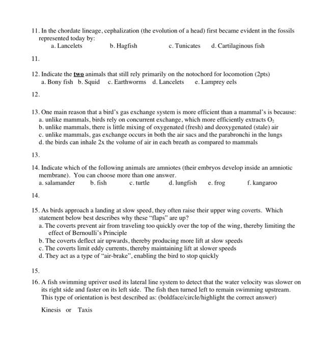 Solved 11. In the chordate lineage, cephalization (the | Chegg.com