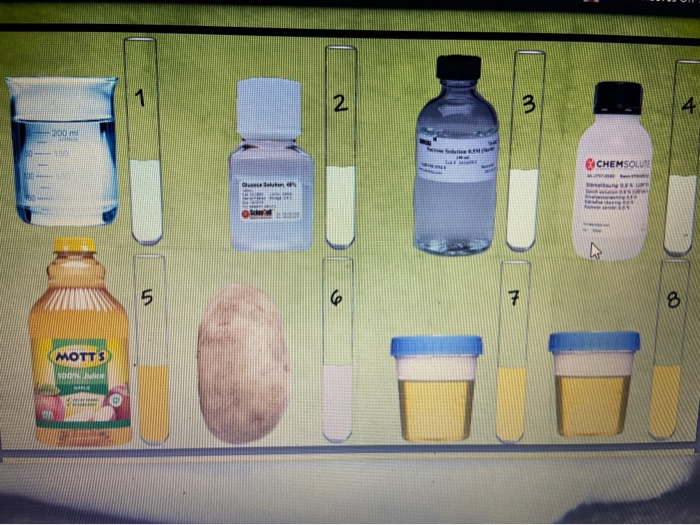 Solved Benedict's Solution • Tests for reducing sugars | Chegg.com