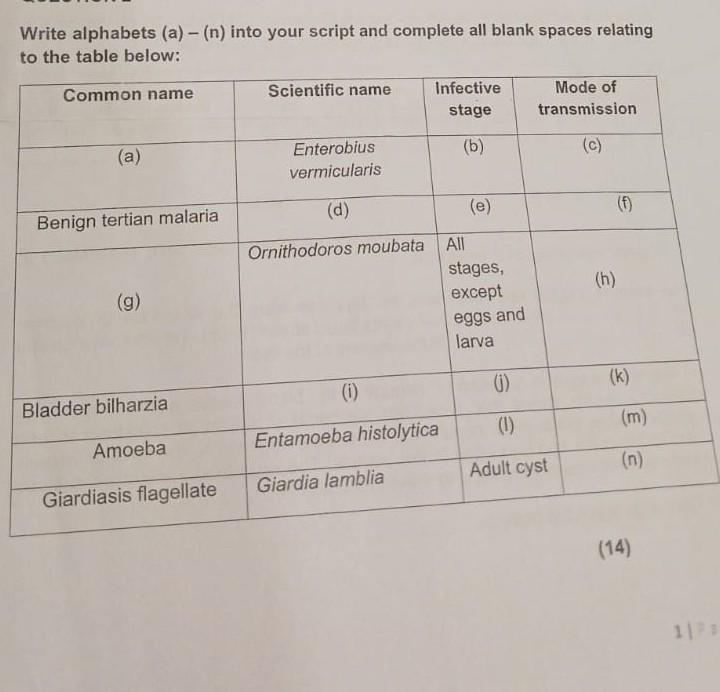 Solved Write alphabets (a)−(n) into your script and complete | Chegg.com
