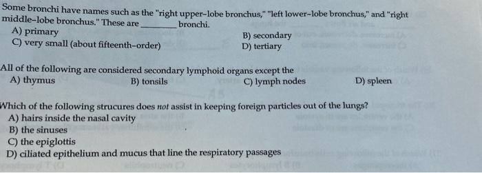 Solved Some Bronchi Have Names Such As The Right Upper Lobe 4927