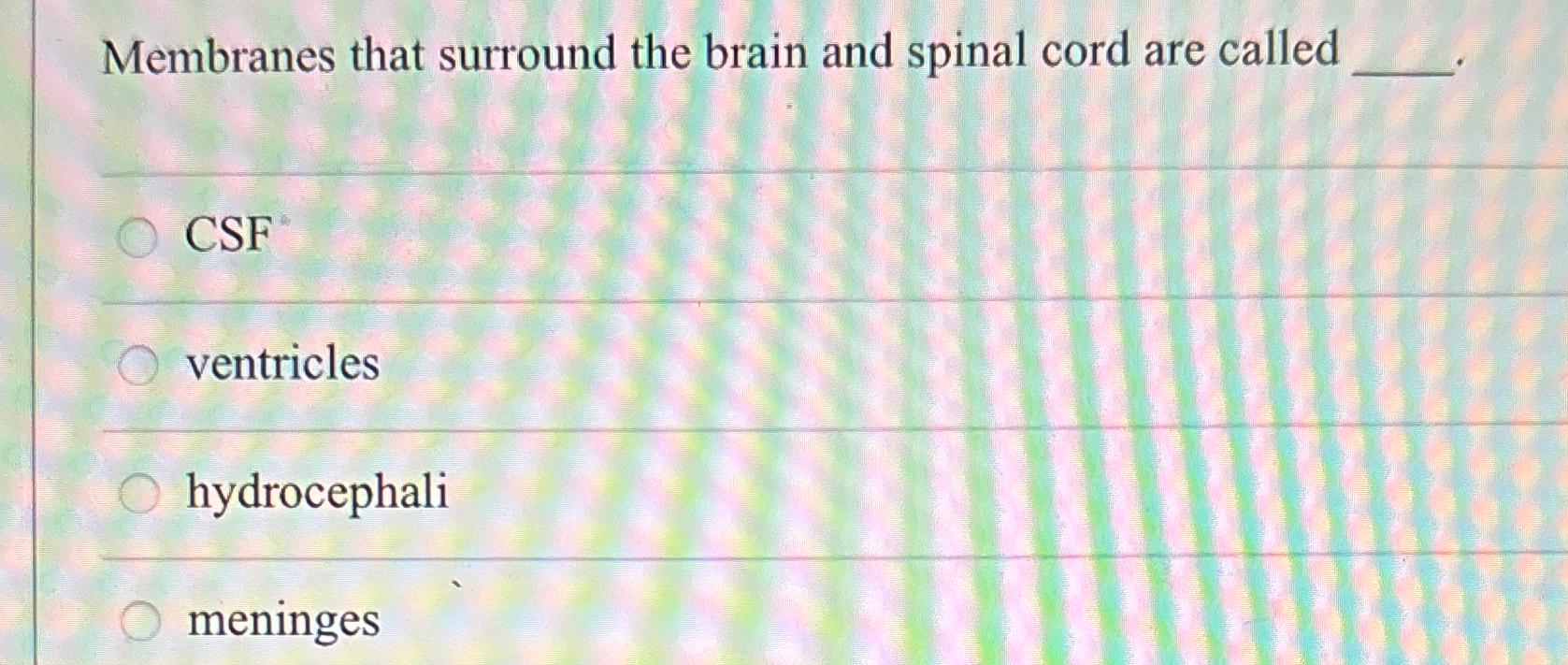 Solved Membranes that surround the brain and spinal cord are | Chegg.com