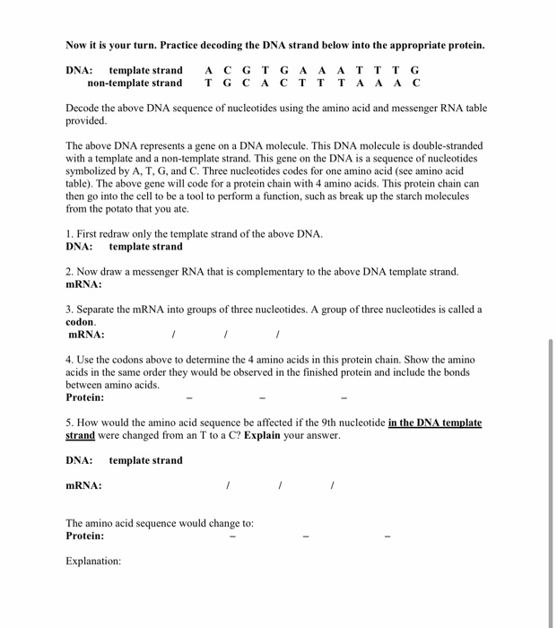 Solved Now it is your turn. Practice decoding the DNA strand | Chegg.com