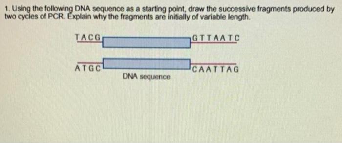 Solved 1. Using the following DNA sequence as a starting | Chegg.com