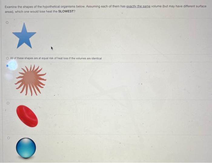 Solved Examine the shapes of the hypothetical organisms | Chegg.com