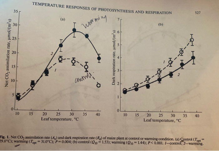 Solved TEMPERATURE RESPONSES OF PHOTOSYNTHESIS AND | Chegg.com