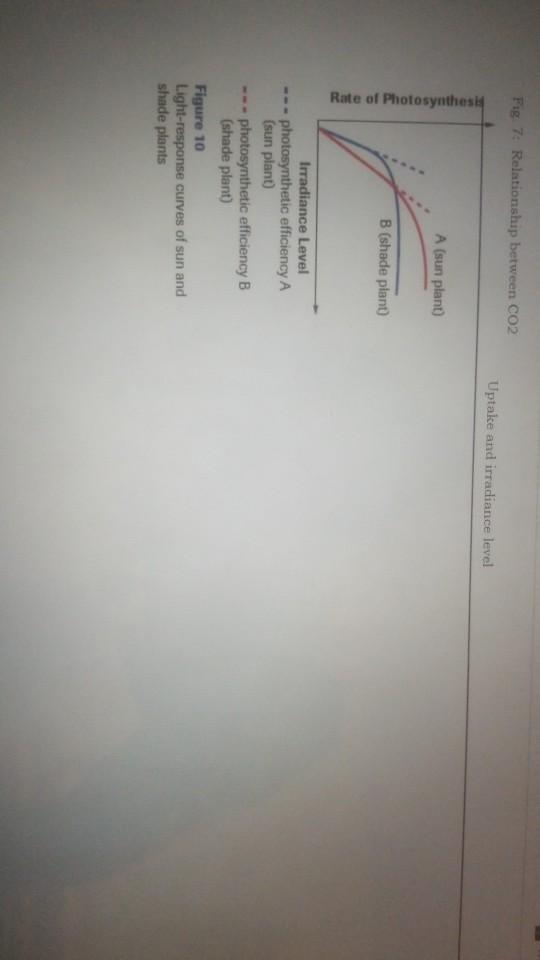 Graph Explanation 28 20 CO, limited Light limited 15 | Chegg.com