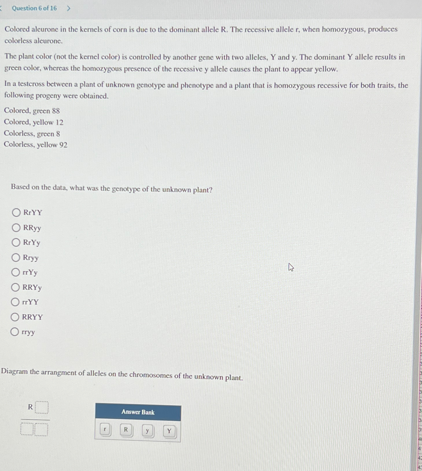 Solved Question 6 ﻿of 16Colored aleurone in the kernels of | Chegg.com