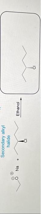 Solved please explain why cl- is not the leaving group and | Chegg.com