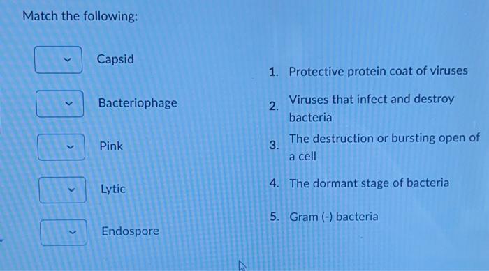 Solved Match the following: Capsid Bacteriophage Pink Lytic | Chegg.com