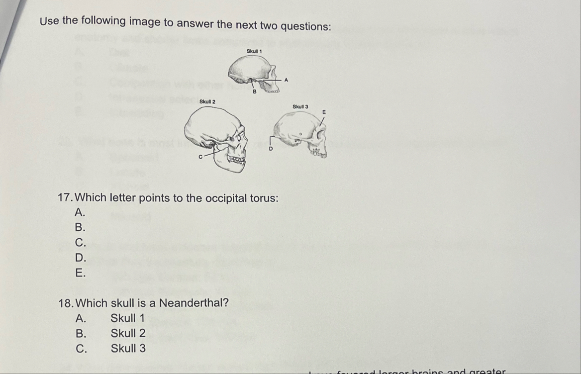 Solved Use the following image to answer the next two | Chegg.com