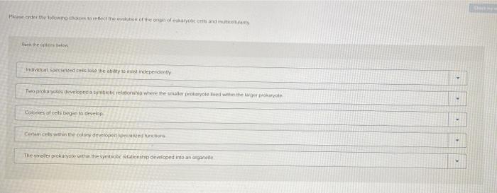 Solved Please order the following choices to reflect the | Chegg.com