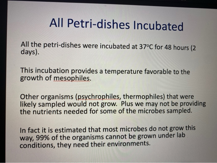 LAB 4 UBIQUITY OF MICROORGANISMS Lab - 4A Laboratory | Chegg.com