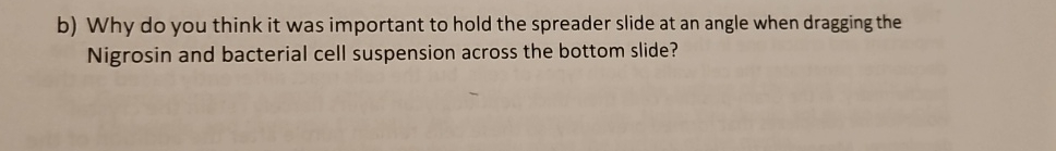 Solved b) ﻿Why do you think it was important to hold the | Chegg.com