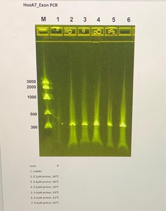 interpret and analyse and annotate these results and | Chegg.com