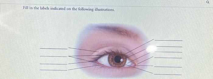 Solved \r\n\r\n\r\n1. The palpebral fissure is the: a. | Chegg.com