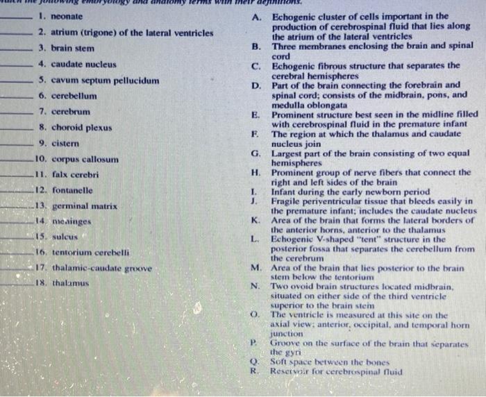 Solved 1. neonate 2. atrium (trigone) of the lateral | Chegg.com