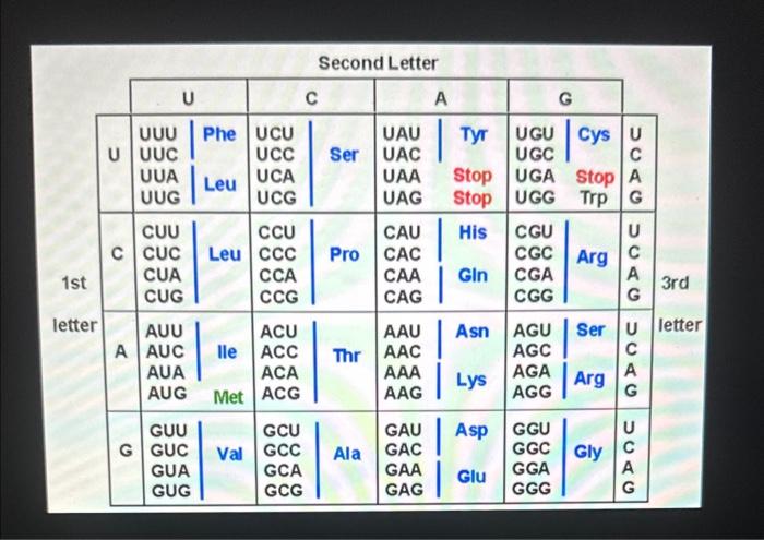 Solved If the codon is AUC, what is the anticodon? QUESTION | Chegg.com