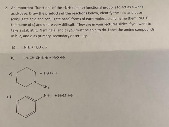 Solved 2. An important "function" of the −NH2 (amine) | Chegg.com