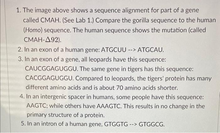 Solved For each of the following mutations, classify the | Chegg.com
