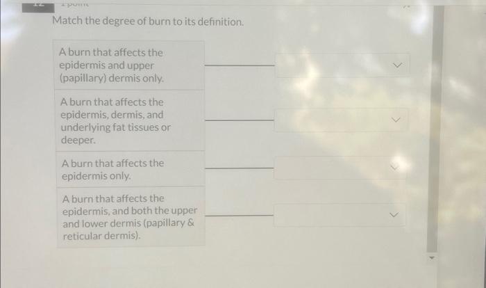 Match the degree of burn to its definition. A burn | Chegg.com