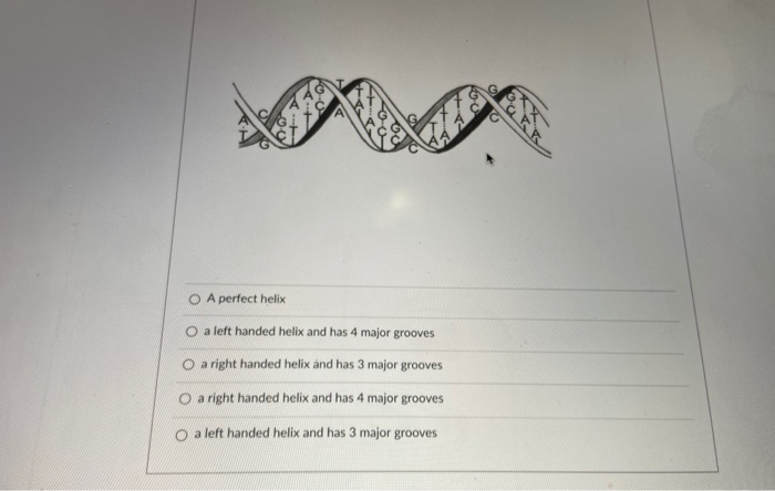 Solved A perfect helix O a left handed helix and has 4 major | Chegg.com