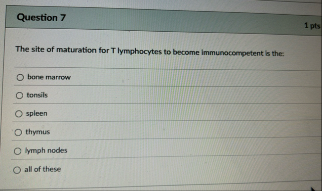 Solved Question 71 ﻿ptsThe site of maturation for T | Chegg.com