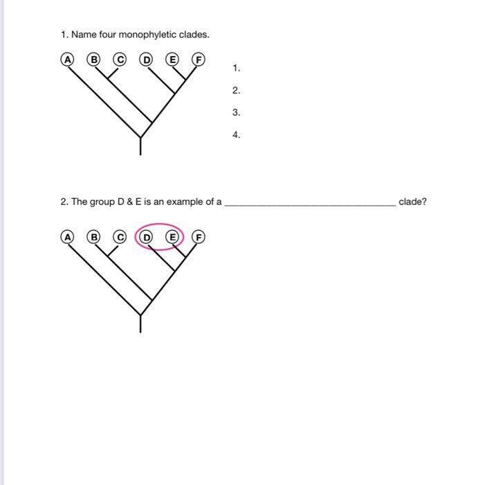 Solved 1. Name four monophyletic clades. B 1. 2. 3. 4. . 2. | Chegg.com Solved 1. Name four monophyletic clades. B 1. 2. 3. 4. . 2. | Chegg.com