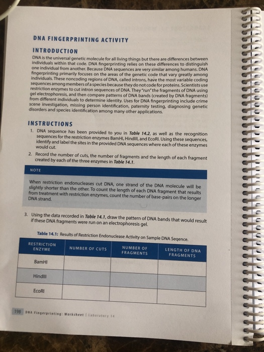 Solved DNA FINGERPRINTING ACTIVITY INTRODUCTION DNA is the | Chegg.com