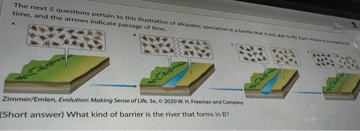 Solved The next 5 questions pertain to this illustration of | Chegg.com
