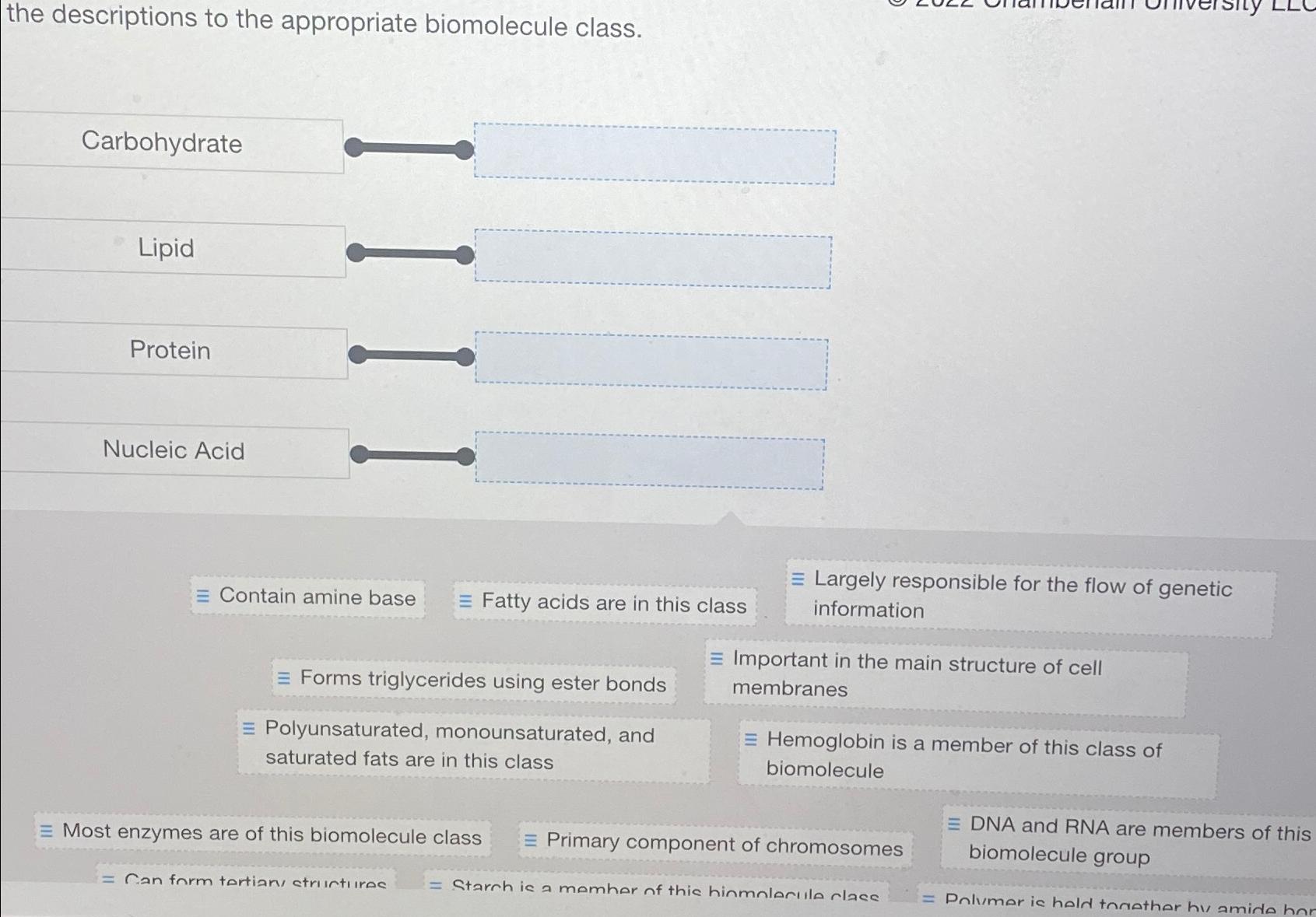 Solved the descriptions to the appropriate biomolecule | Chegg.com